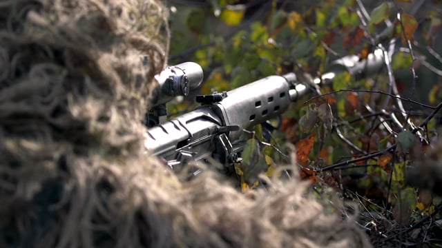 Target Videos: Download 47+ Free 4K & HD Stock Footage Clips - Pixabay