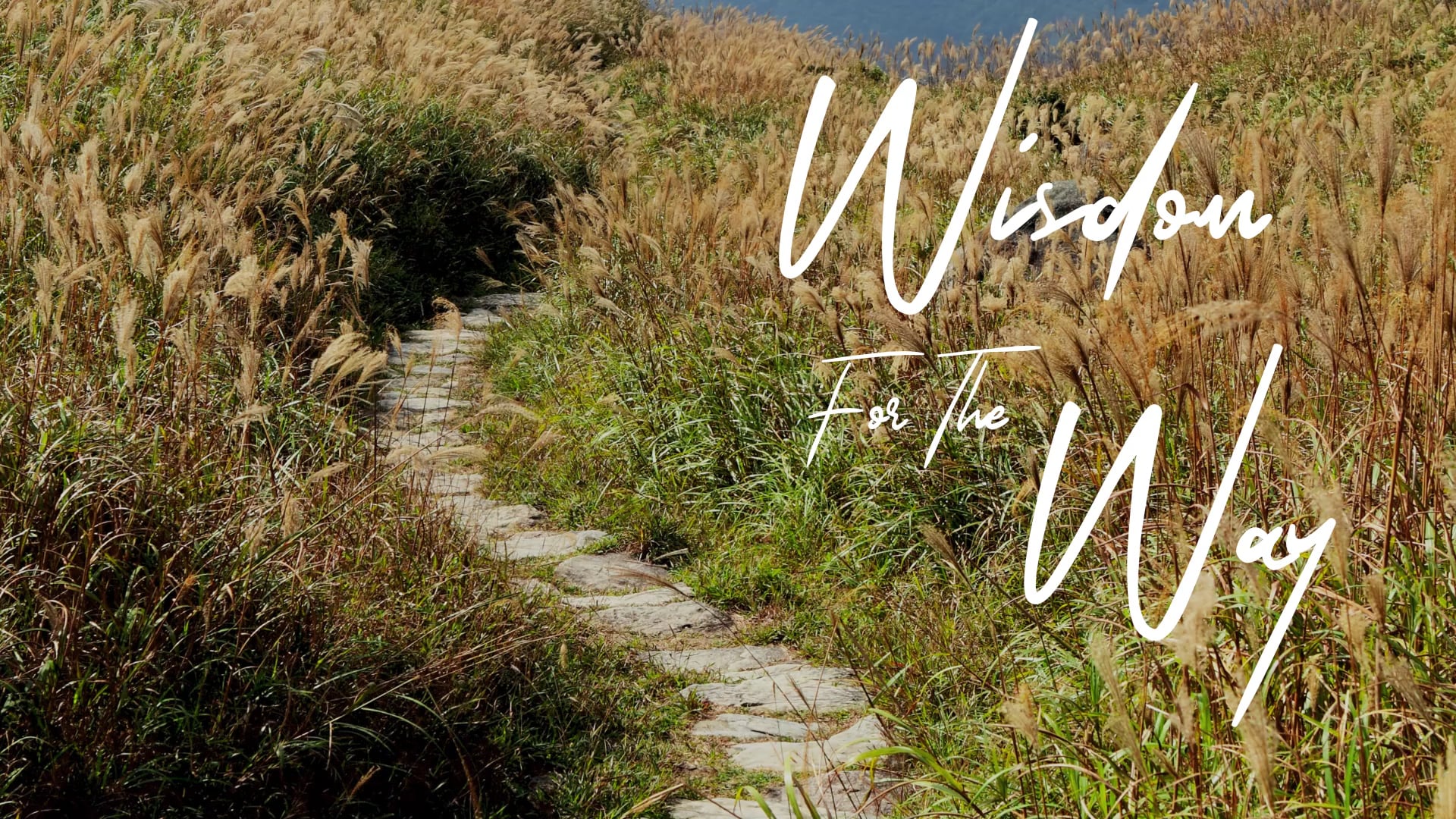 Writer | Pastor | Will Dyer | United States