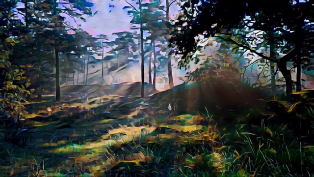 Forest Psychedelic Lsd - Free video on Pixabay
