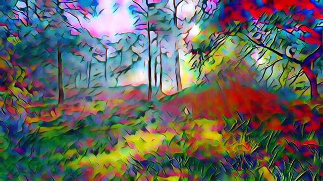 Forest, Psychedelic, Lsd. Free Stock Video - Pixabay