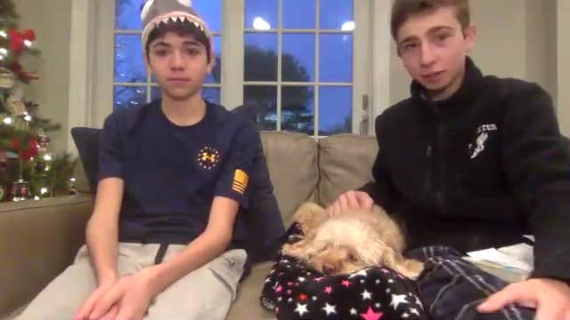 Books & Barks Jacob and Luke Bornstein Ocean Life by Jill McDonald on Vimeo