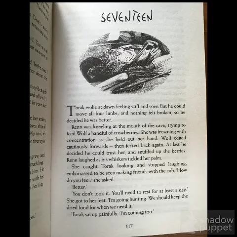 Wolf Brother Chapter 17