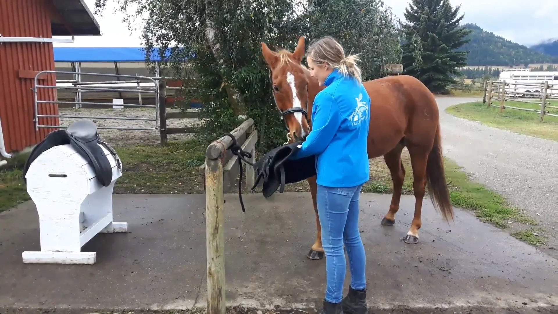 Overcoming Girthiness on Vimeo