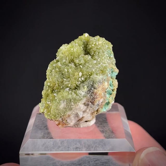 Cuprian Powellite (fluorescent) | Jardinera No. 1 Mine, Inca de Oro ...