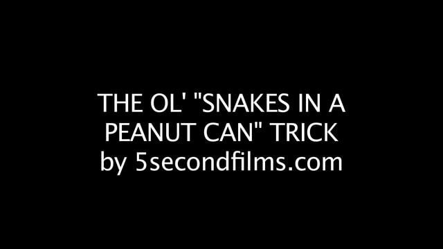 The Ol' "Snakes in a Peanut Can" Trick on Vimeo