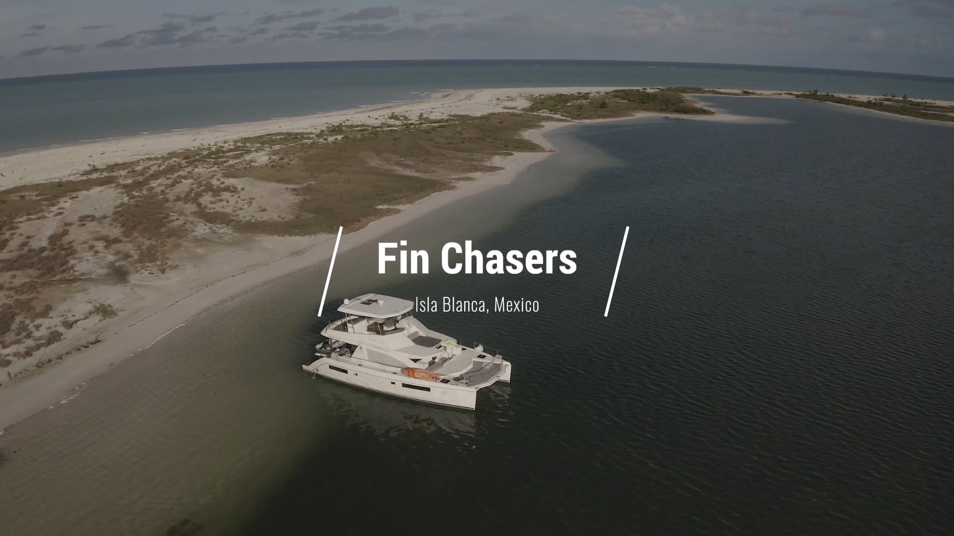 Fin Chasers - Overview [Frontiers] on Vimeo