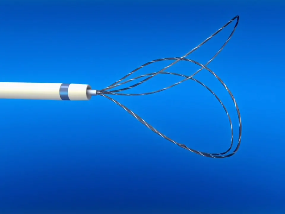 EN Snare® Endovascular Snare System