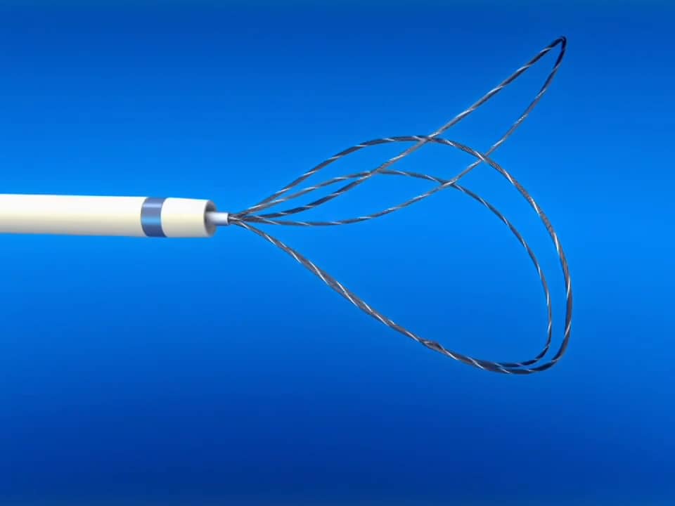 EN Snare® Endovascular Snare System on Vimeo