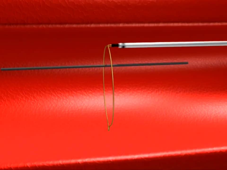 ONE Snare® Endovascular Snare System on Vimeo