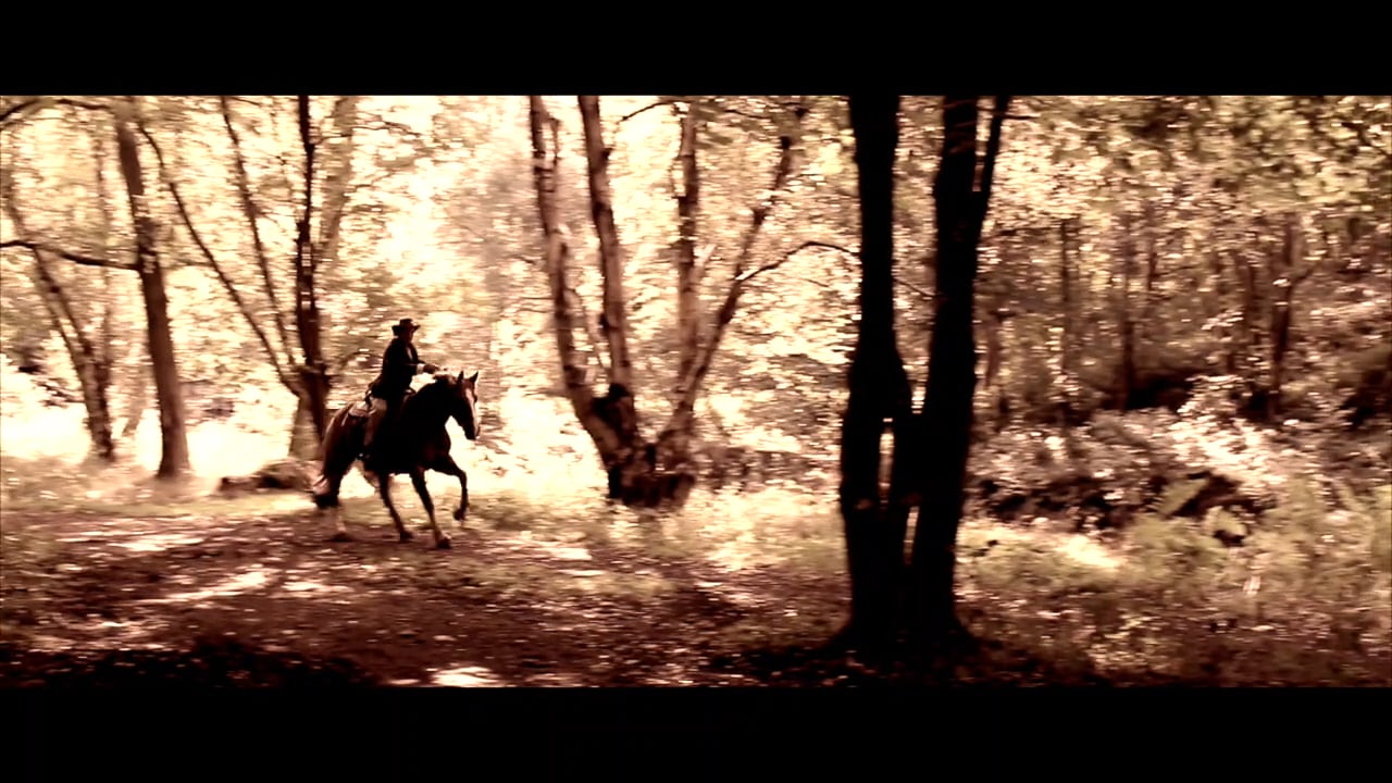 Megan Heald Final Edit on Vimeo