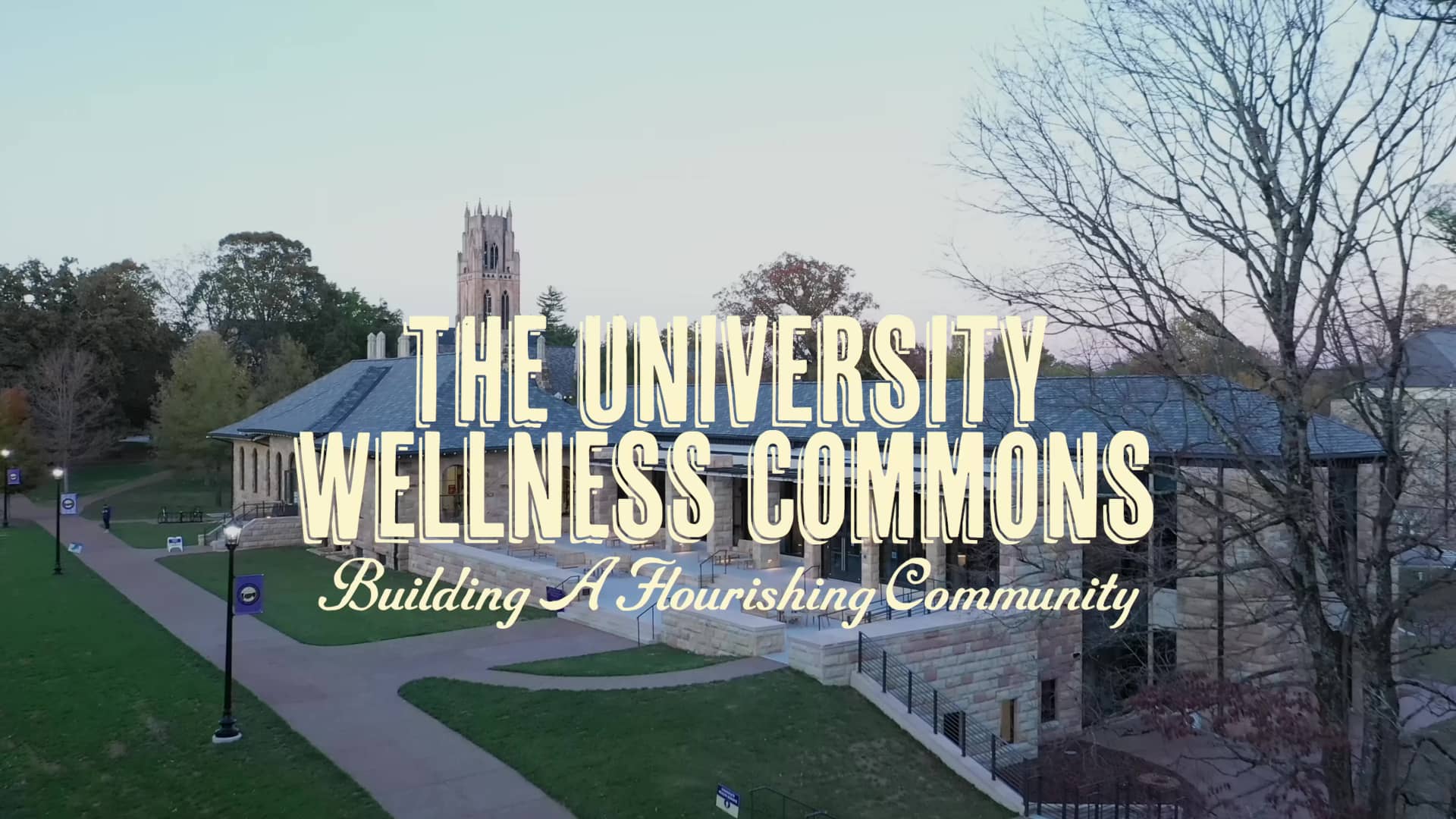 The University Wellness Commons: Building a Flourishing Community on Vimeo