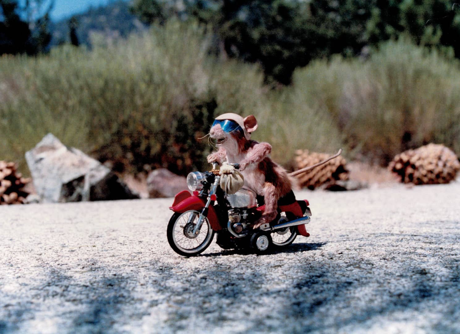 Runaway Ralph (1988) Entire Video on Vimeo