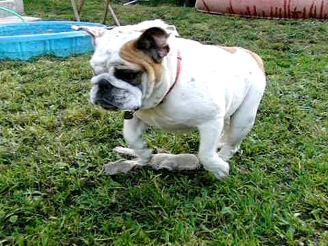 Tobi Running Slow Motion on Vimeo