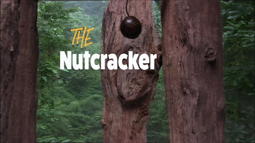 Monkey Stop Motion Animation on Vimeo