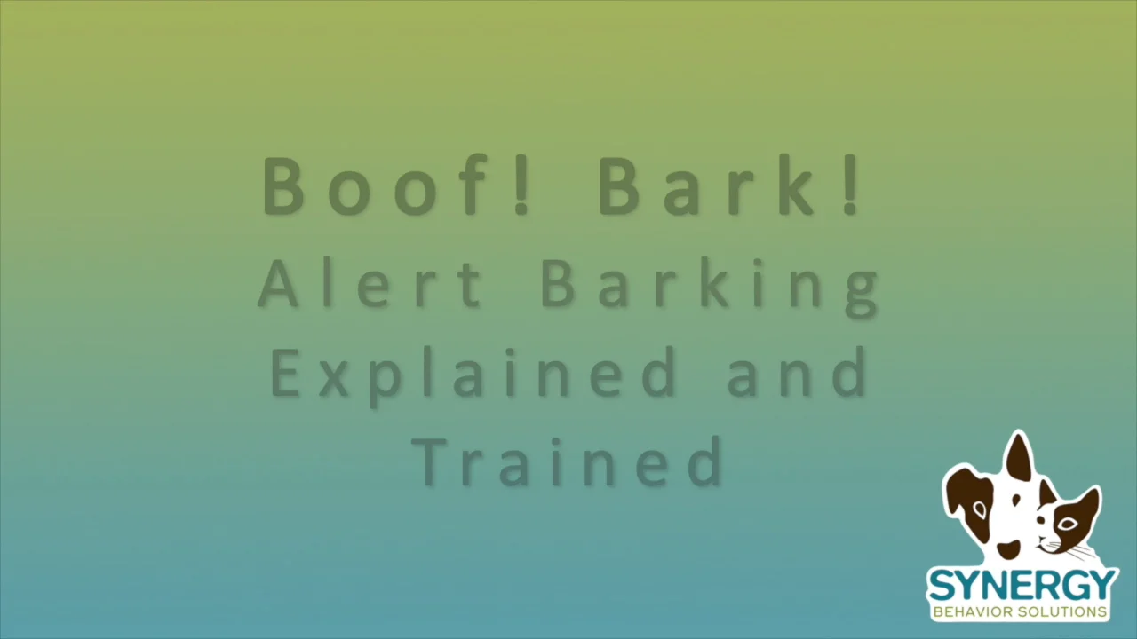 Watch Boof! Bark! Alert Barking Explained and Trained Online | Vimeo On ...