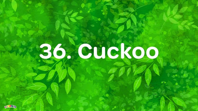 Cuckoo | MusicplayOnline