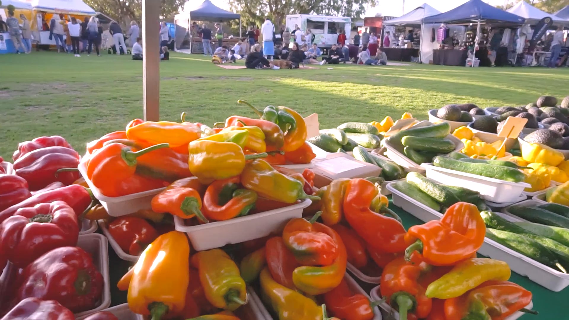 Coogee Beach Market on Vimeo