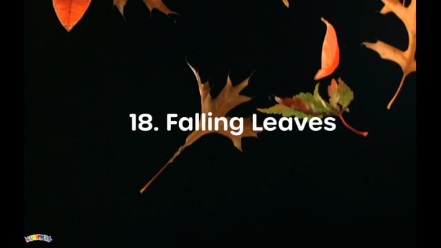 Falling Leaves | MusicplayOnline
