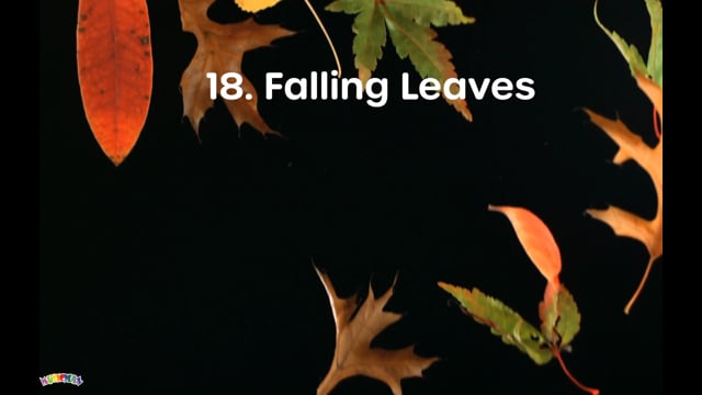 Falling Leaves | MusicplayOnline