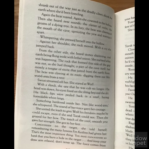 Wolf Brother Chapter 20