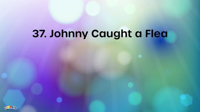 Johnny Caught a Flea | MusicplayOnline