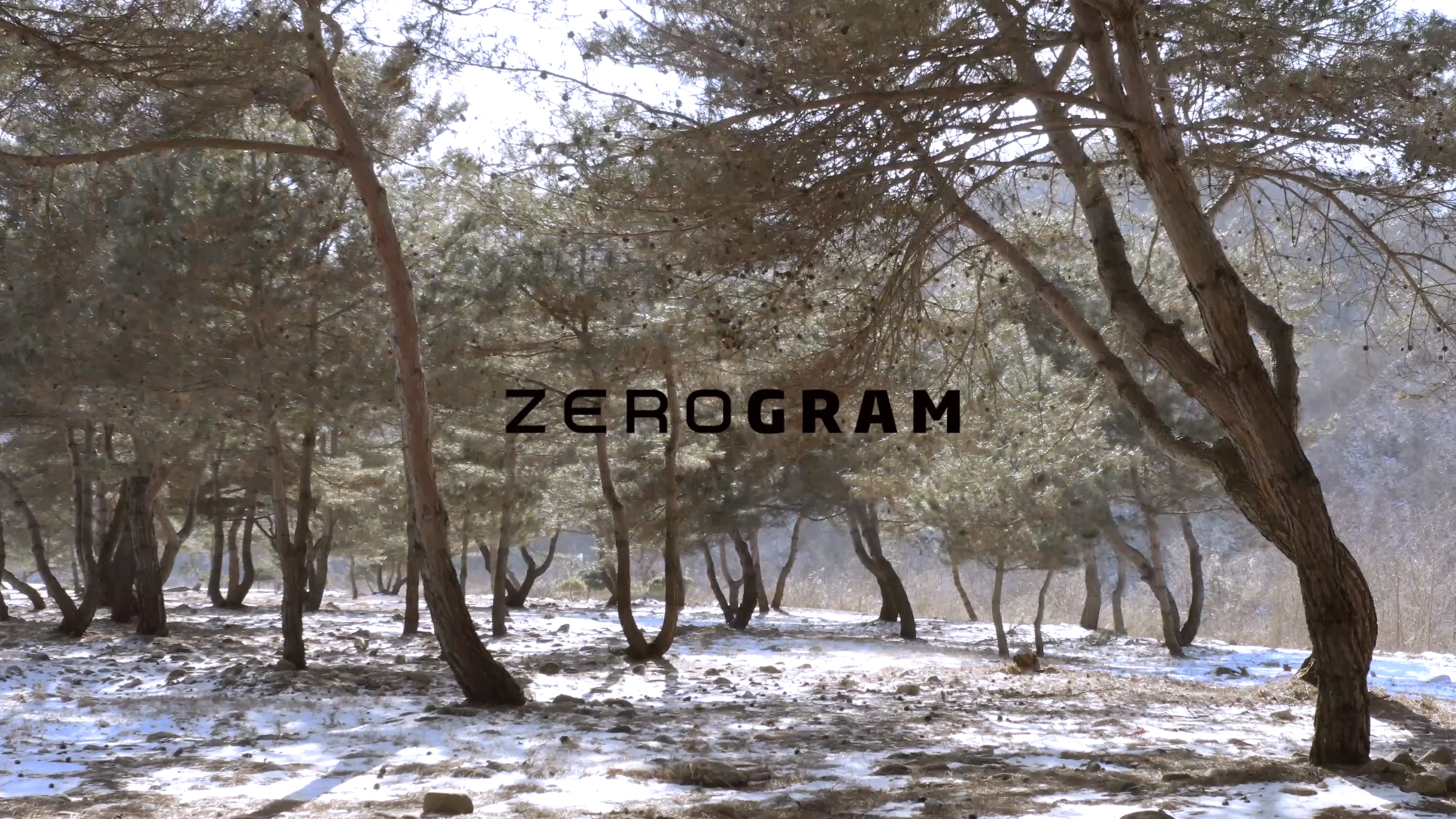 Minimalist Recta Tarp | Tarp | ZEROGRAM (ゼログラム) Minimalist Recta Tarp | Tarp | ZEROGRAM (ゼログラム)