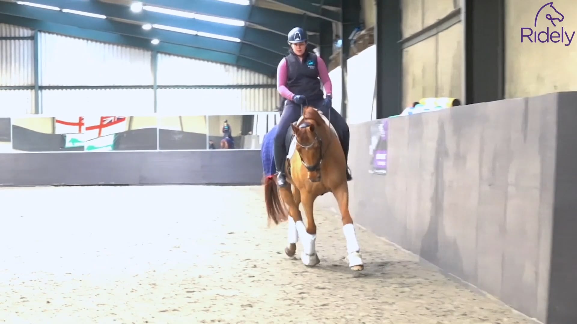 Assessing a new ride | Ridely