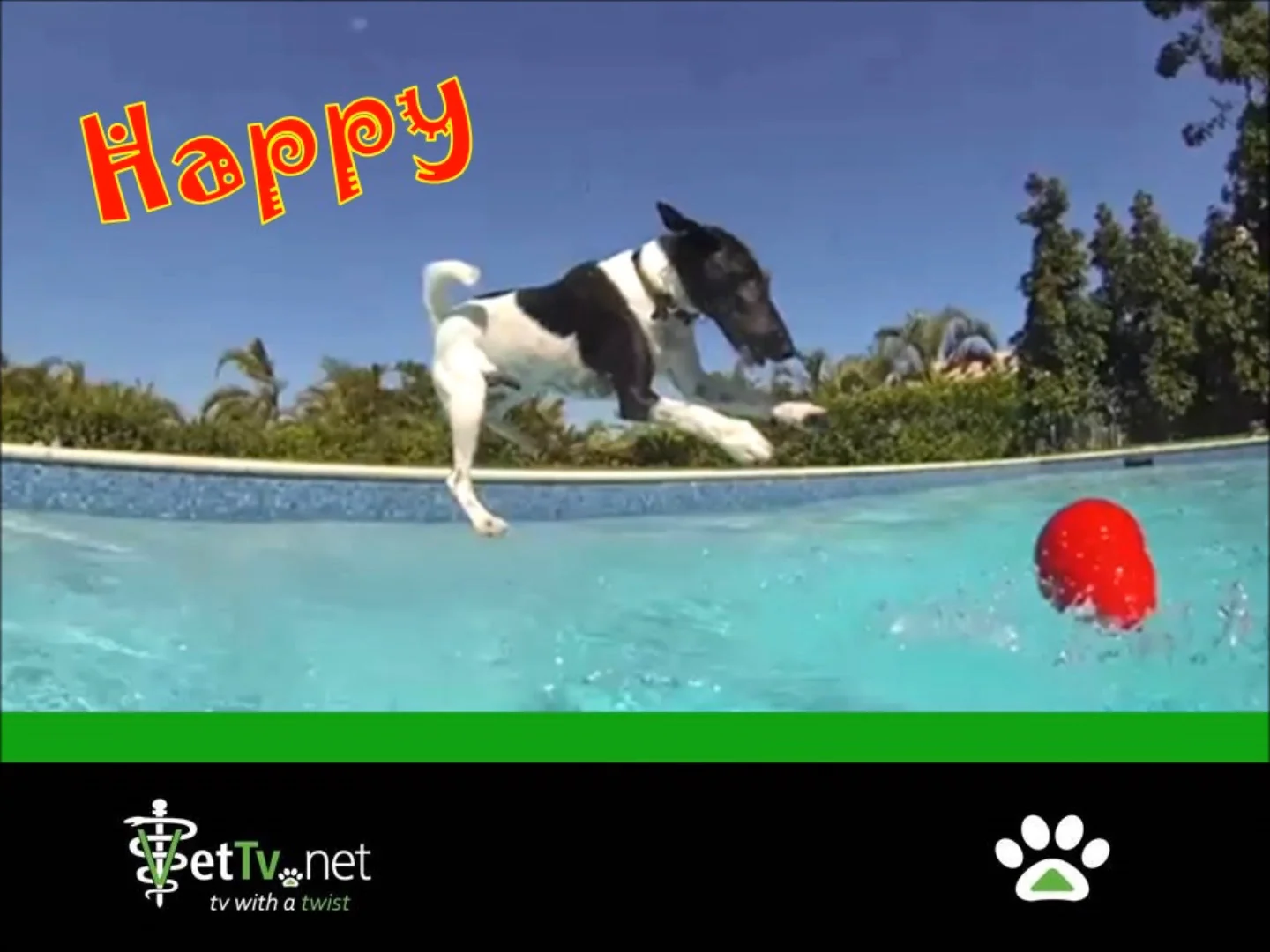 FUN - Happy on Vimeo