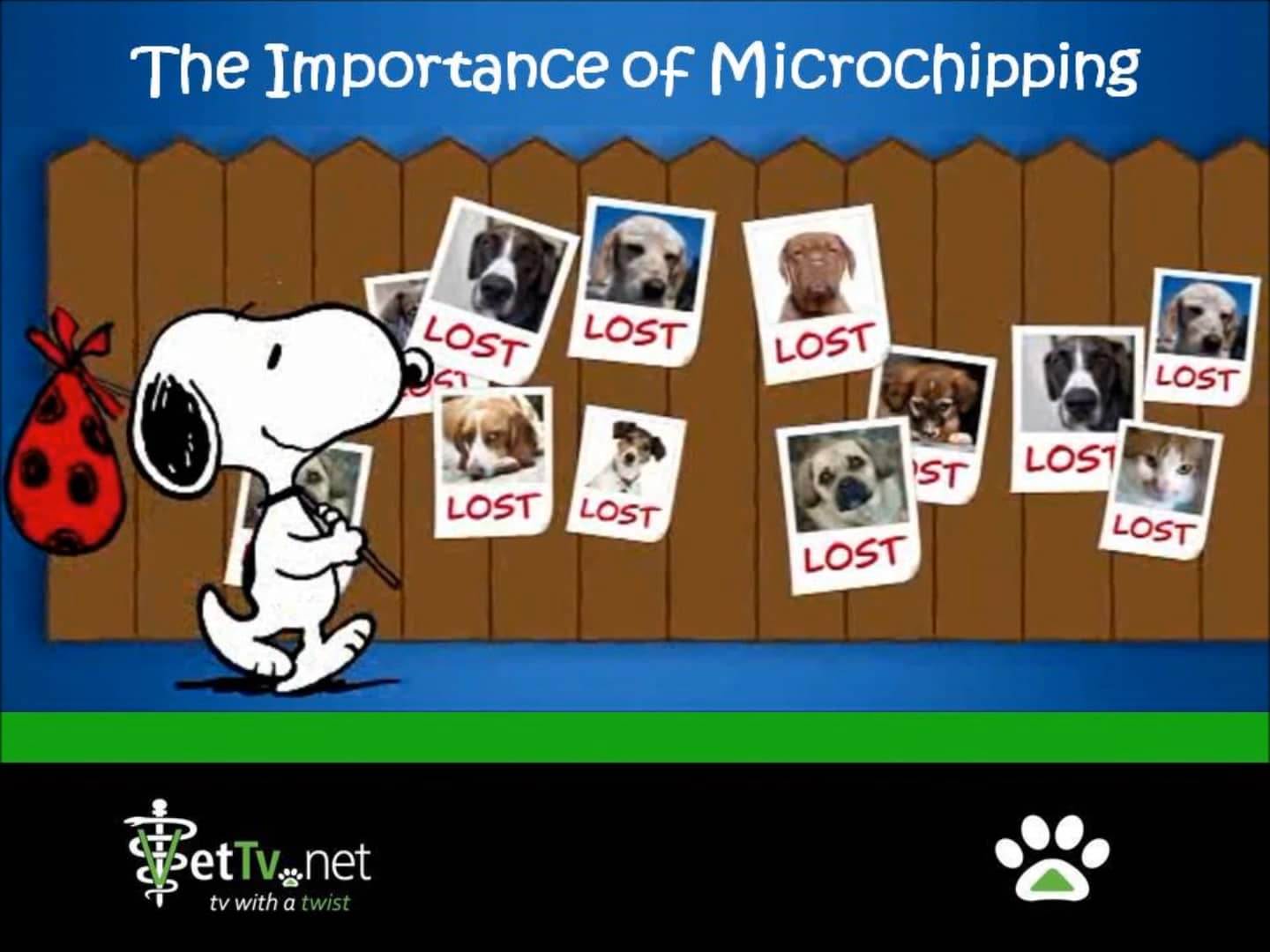 SPO Home Again - Microchip Registration on Vimeo