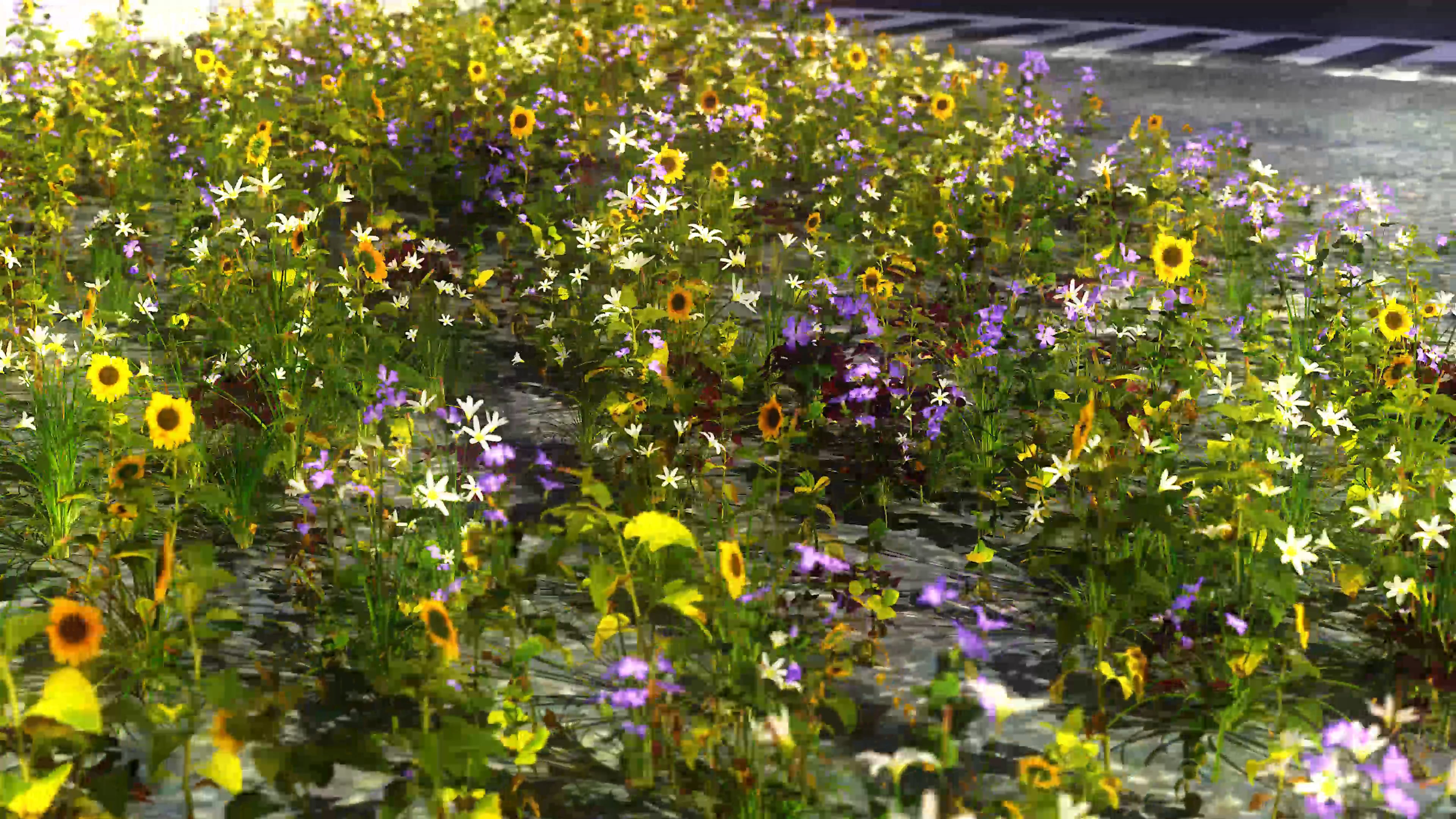 08x03 - Genie - Flower Bloom - H264 on Vimeo