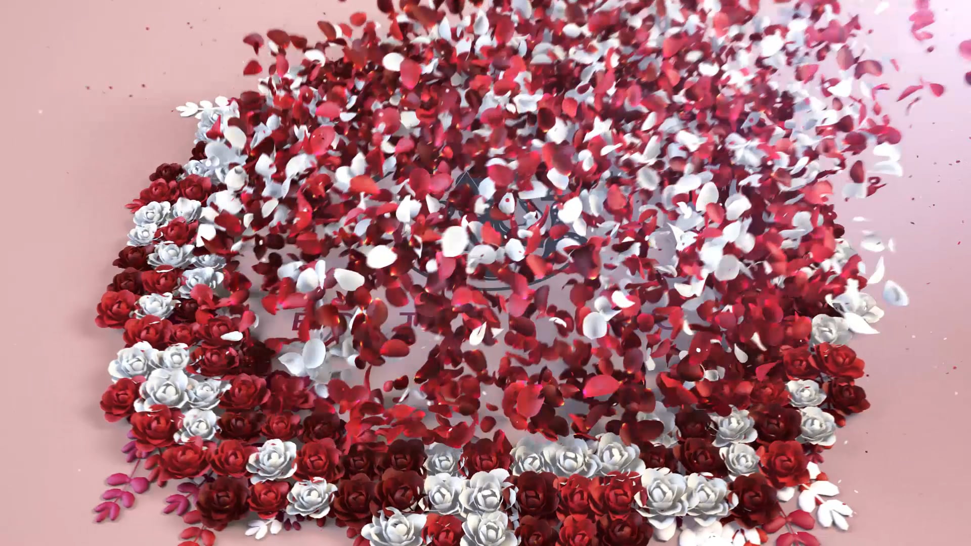 36- Flowers on Vimeo
