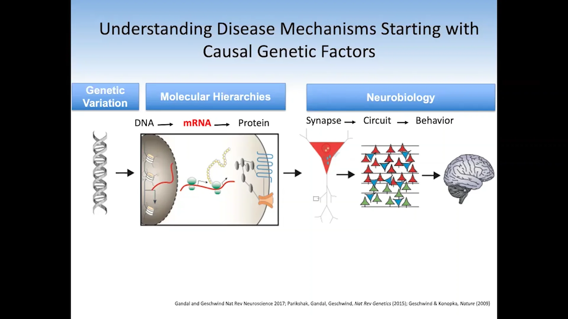 The Role of Genetics in Mental and Behavioral Health on Vimeo