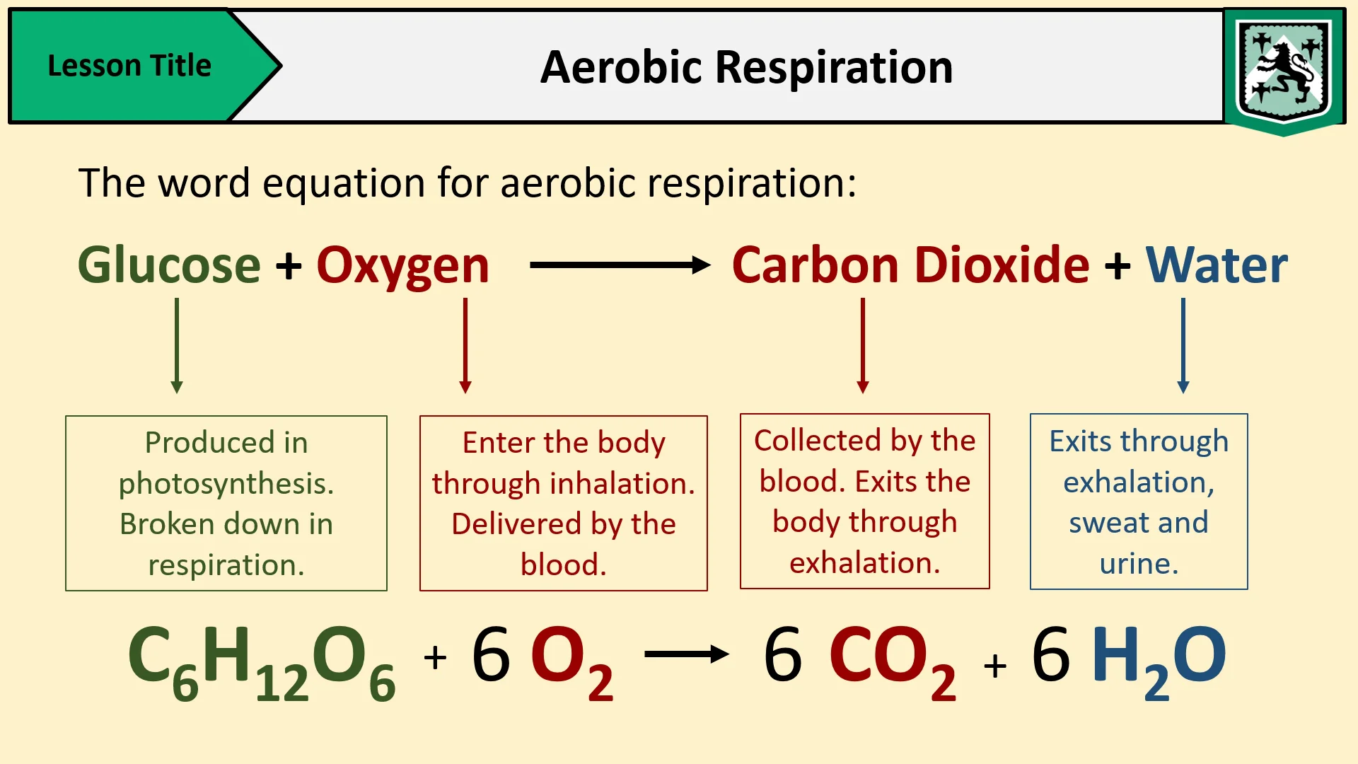 Bioenergetics- Lesson 7- Aerobic Respiration on Vimeo