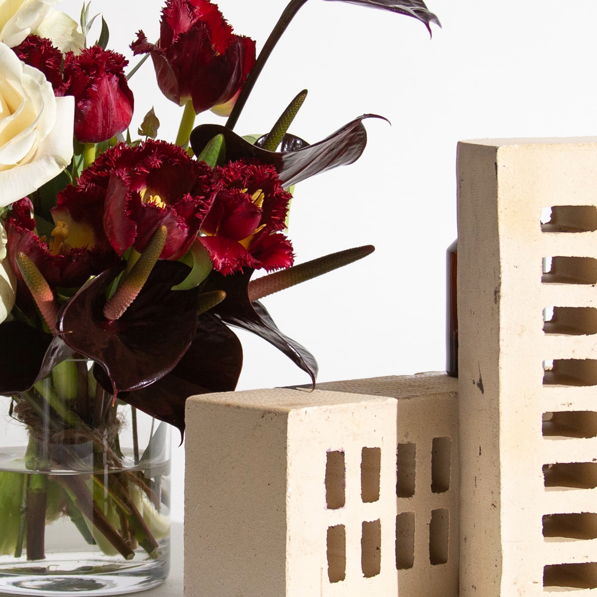 floom-zoom-reveal-1-1 on Vimeo