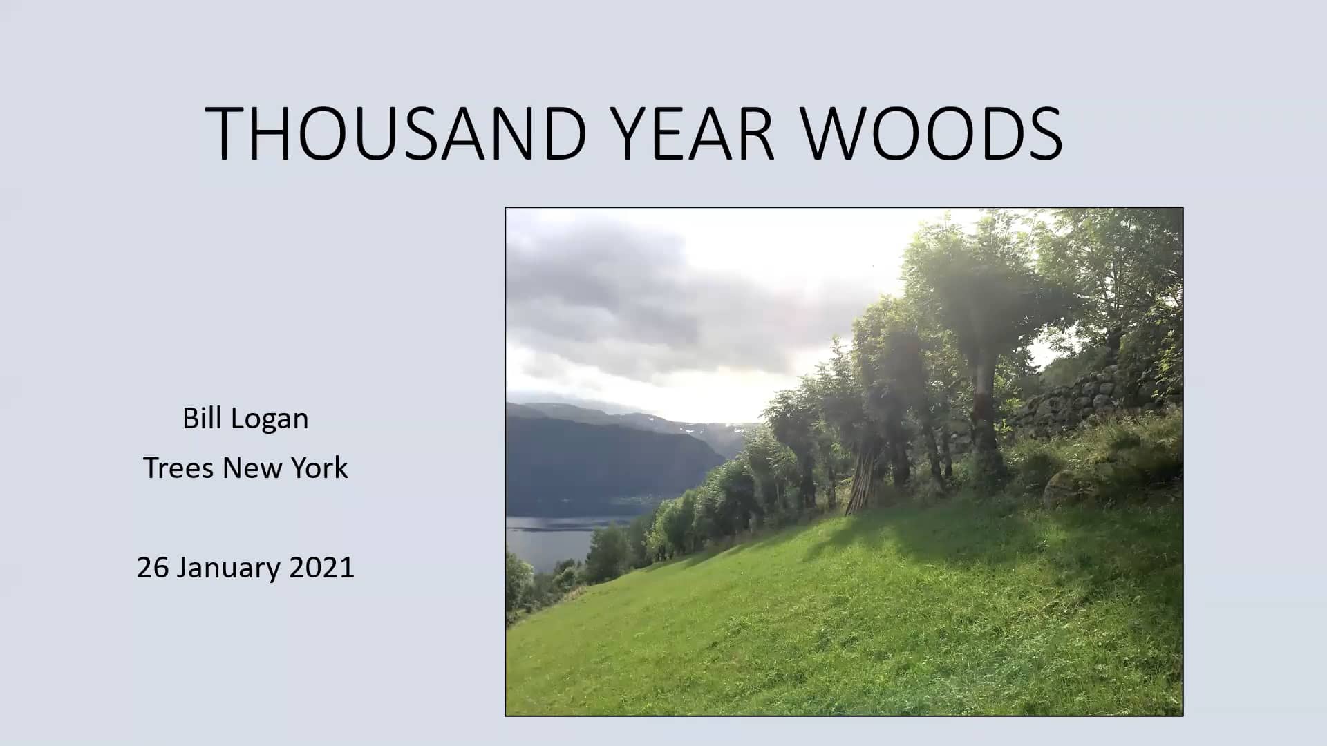 TNY Winter Workshop: Sprout Lands by William Logan on Vimeo