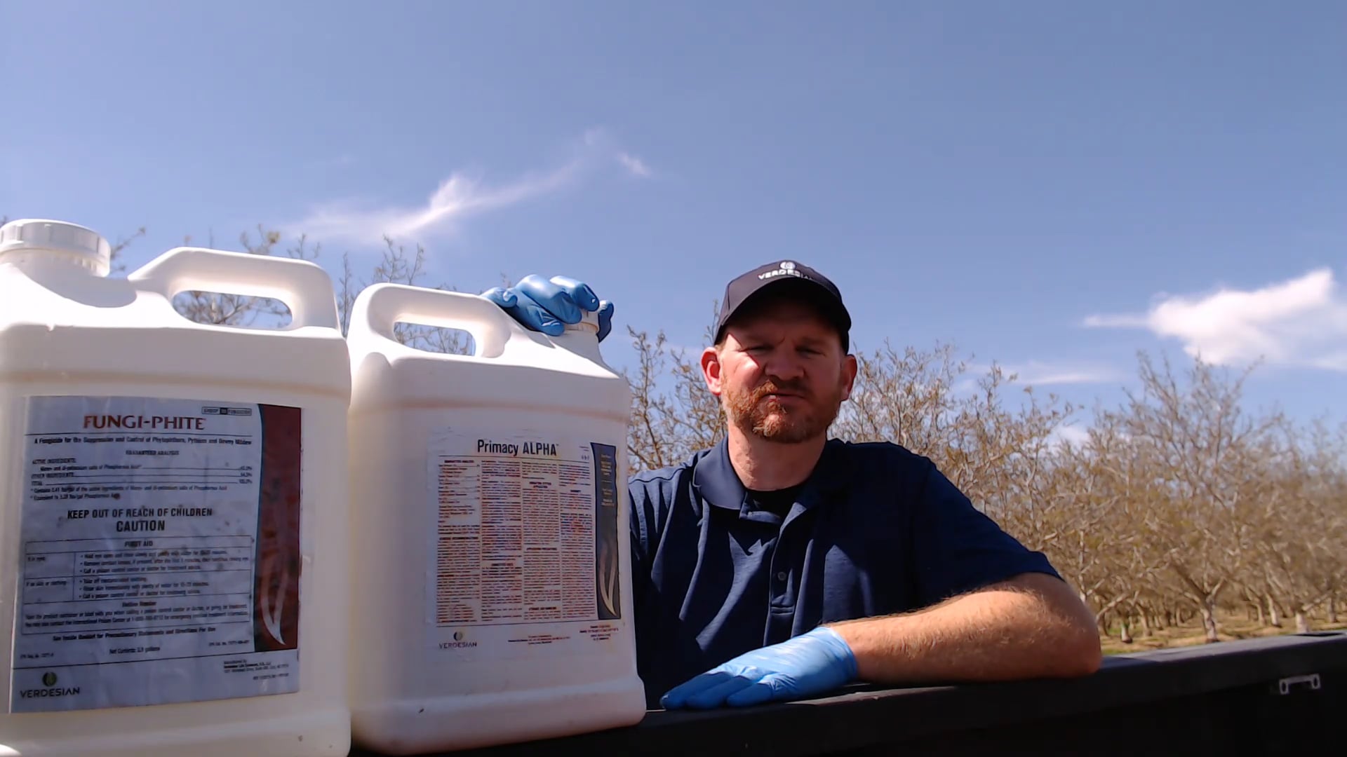 Allen Fungi-Phite & Primacy Alpha on Vimeo