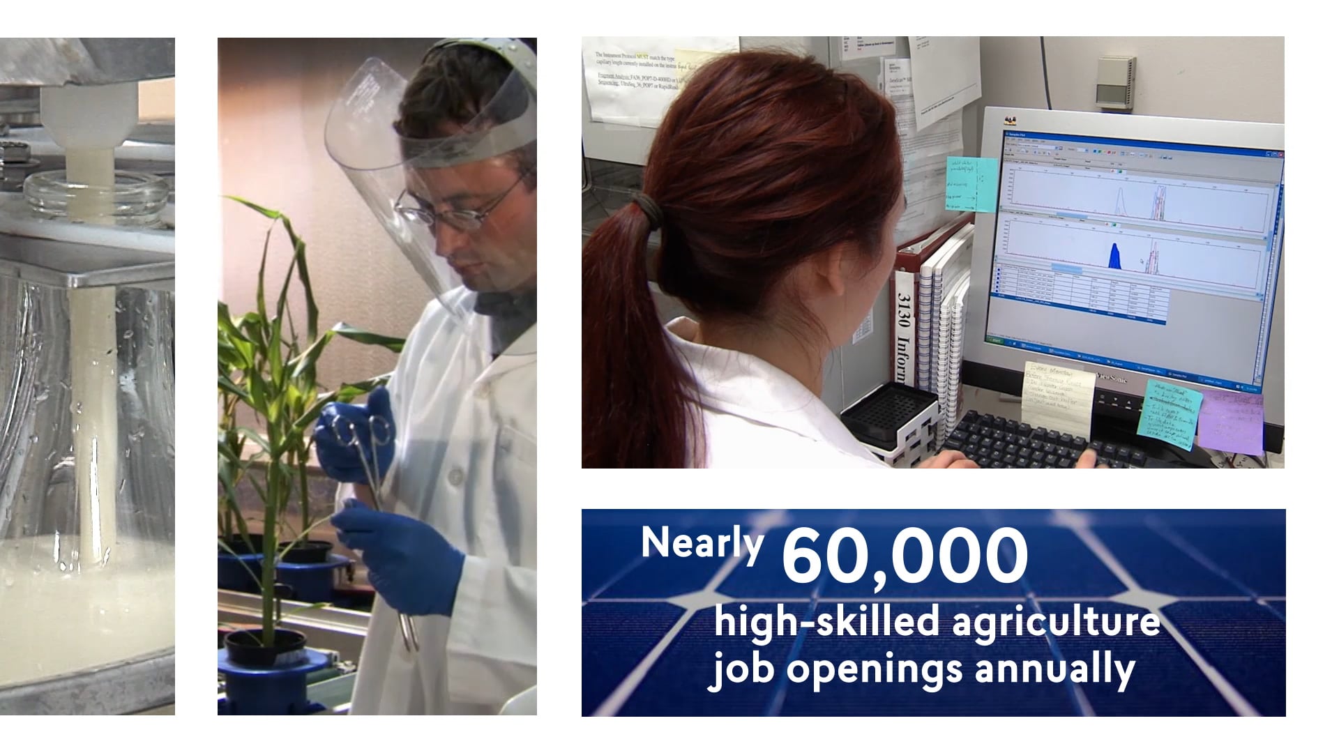 Animal Systems | AgExplorer Career Pathways on Vimeo