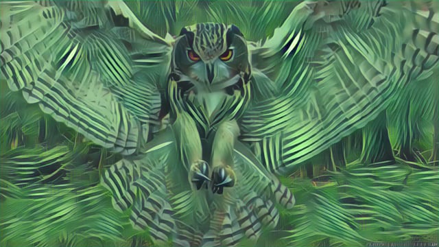 Owl, Animal, Psychedelic. Free Stock Video - Pixabay