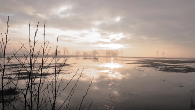 Pond Sunrise Morning - Free video on Pixabay