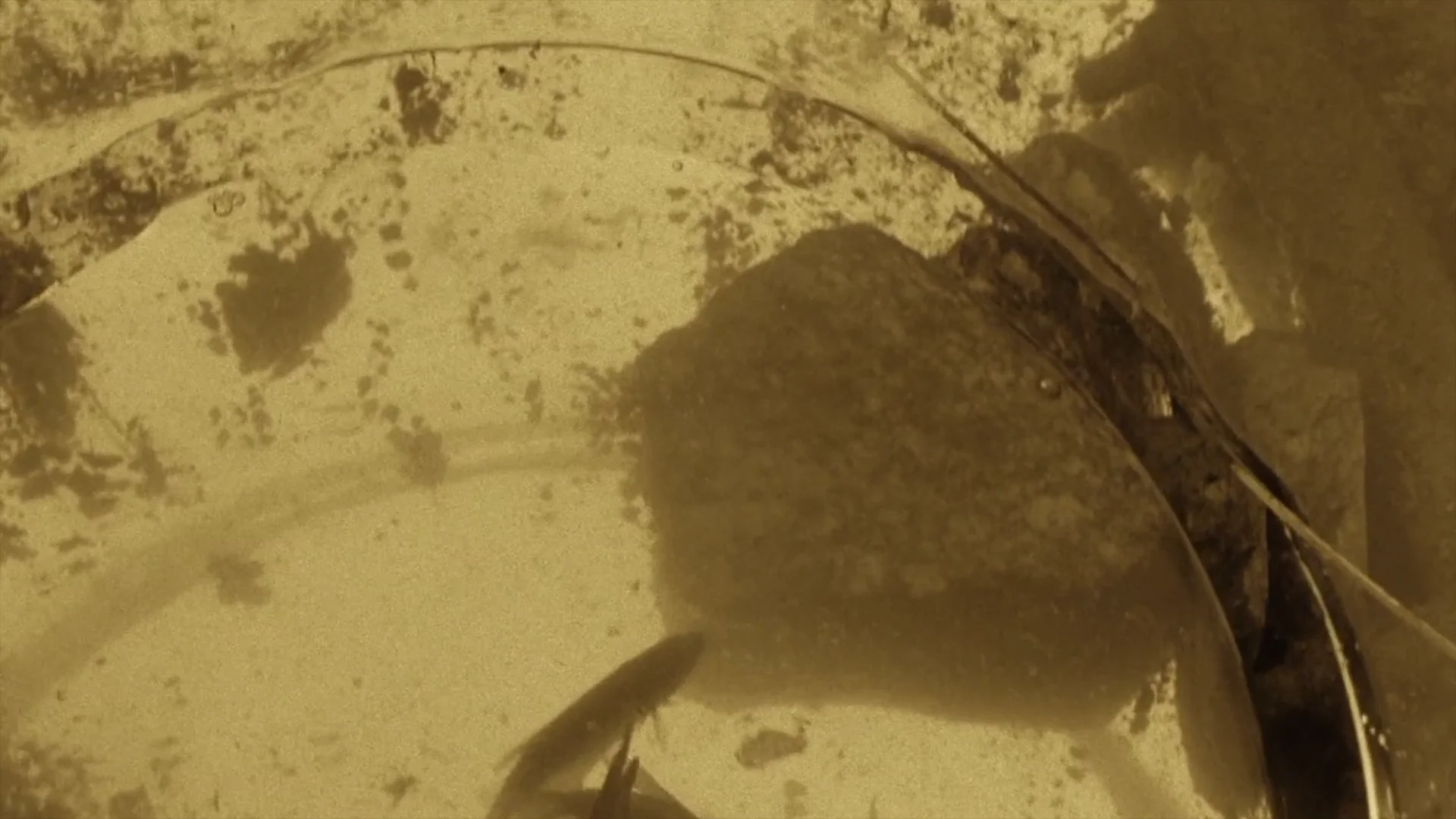 Stalker - music by Noah Verhoeff on Vimeo