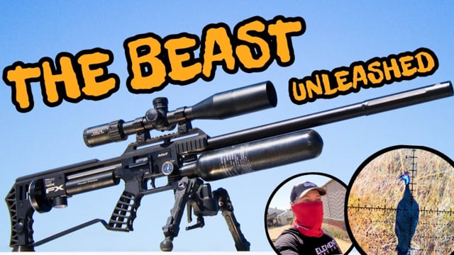 THE BEAST UNLEASHED I FX IMPACT HIGH POWER HUNTING - Airgun101