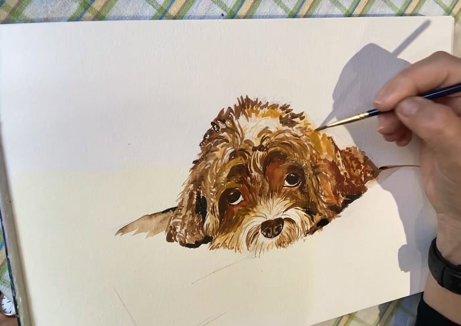 Cavapoo painting time-lapse on Vimeo