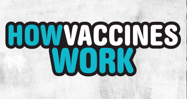 School-Based Vaccine Services – Department of Public Health