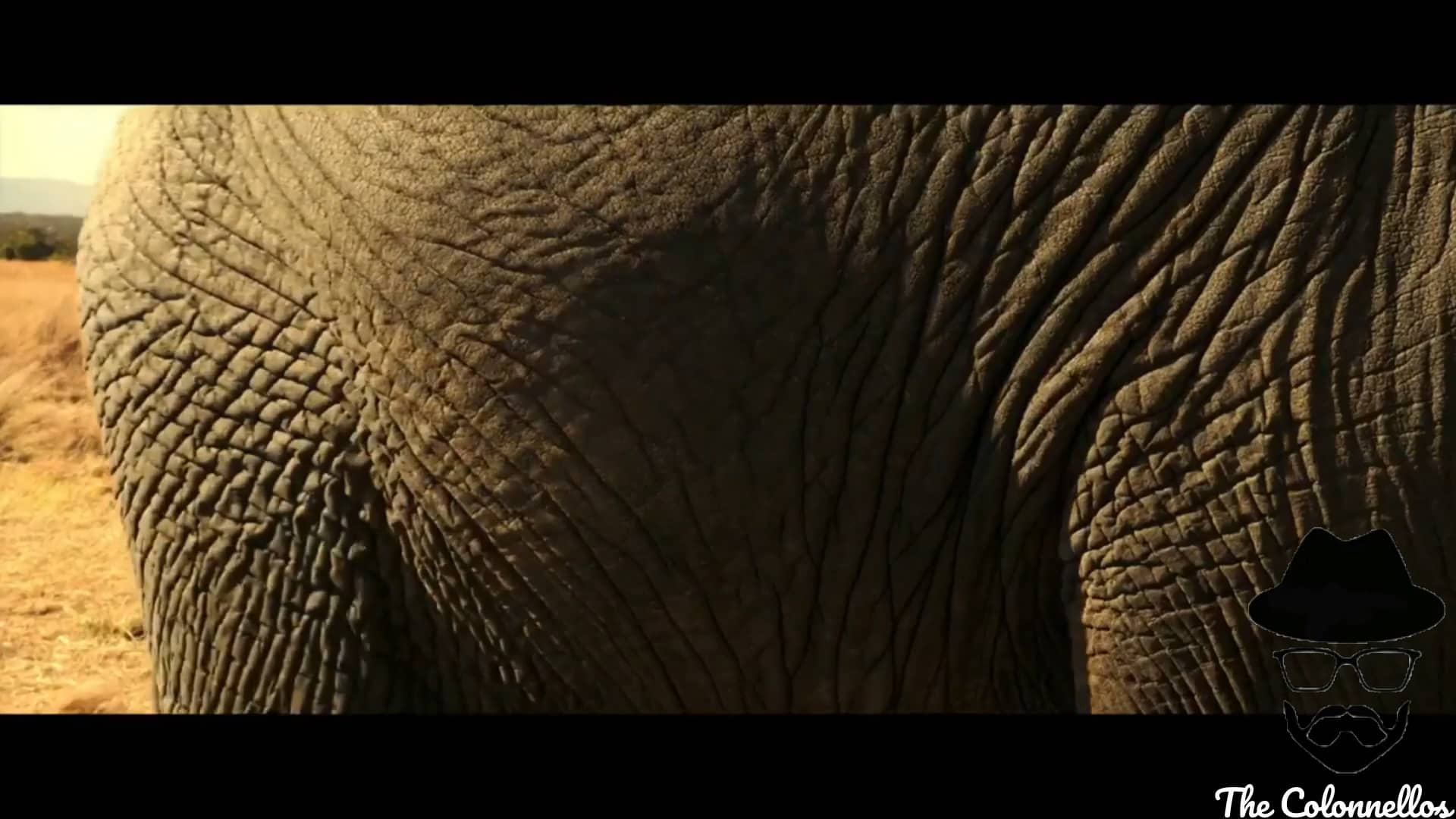 yt1s.com - The Brothers Grimsby Elephant Scene EXTREMELY Graphics ...