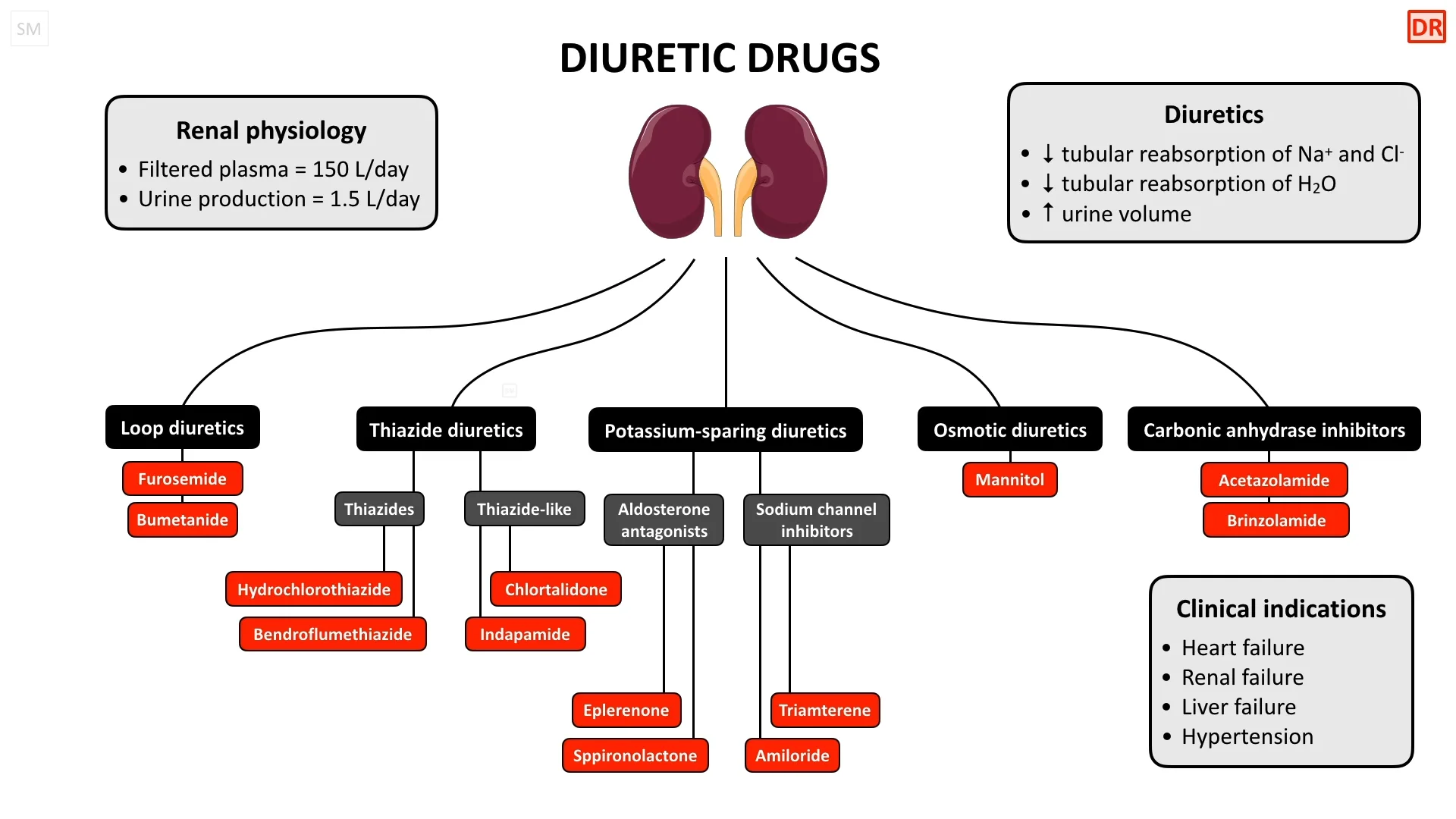 CPT-02-09-01 What are diuretics
