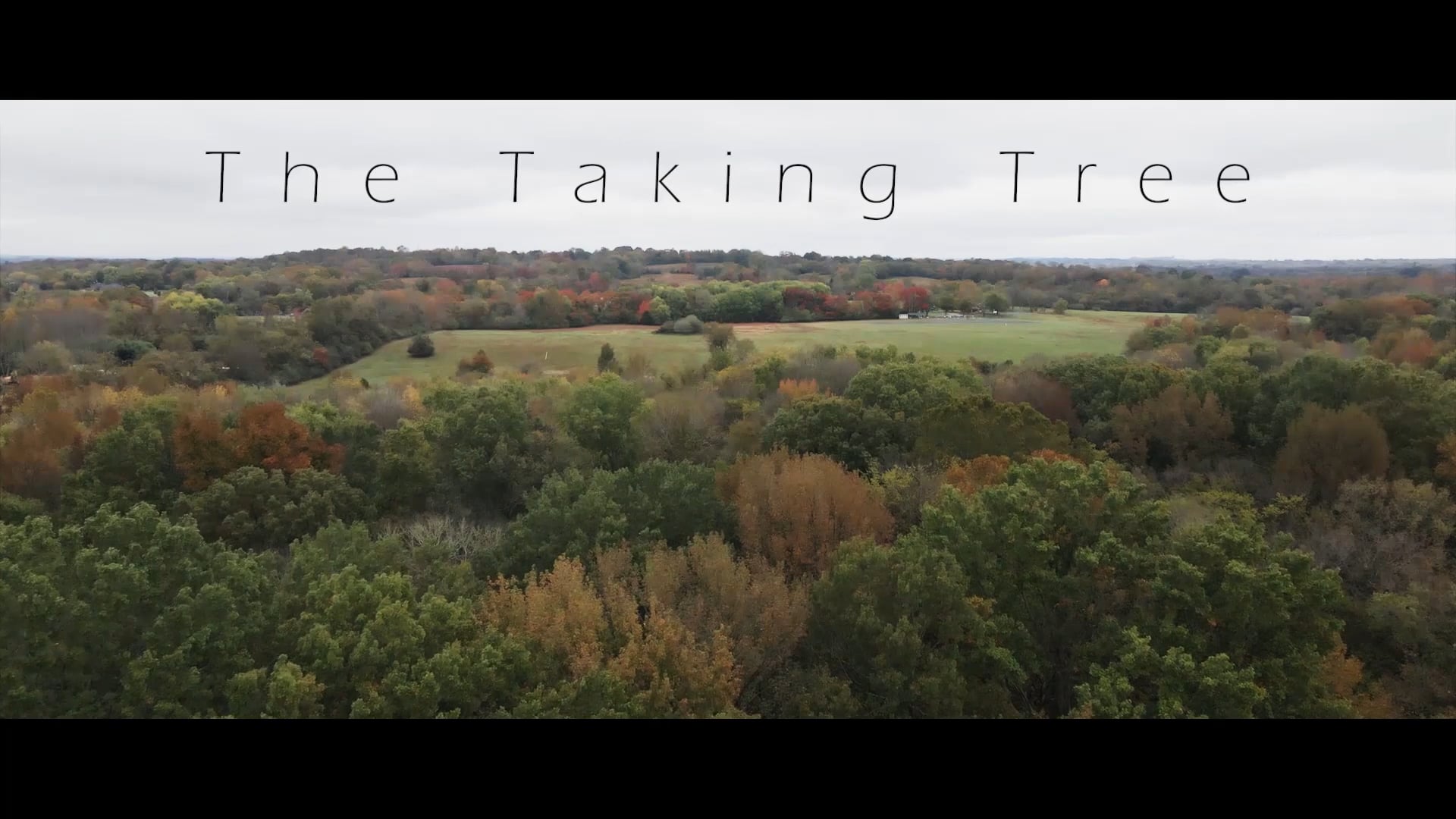 The Taking Tree (short film).mp4 on Vimeo