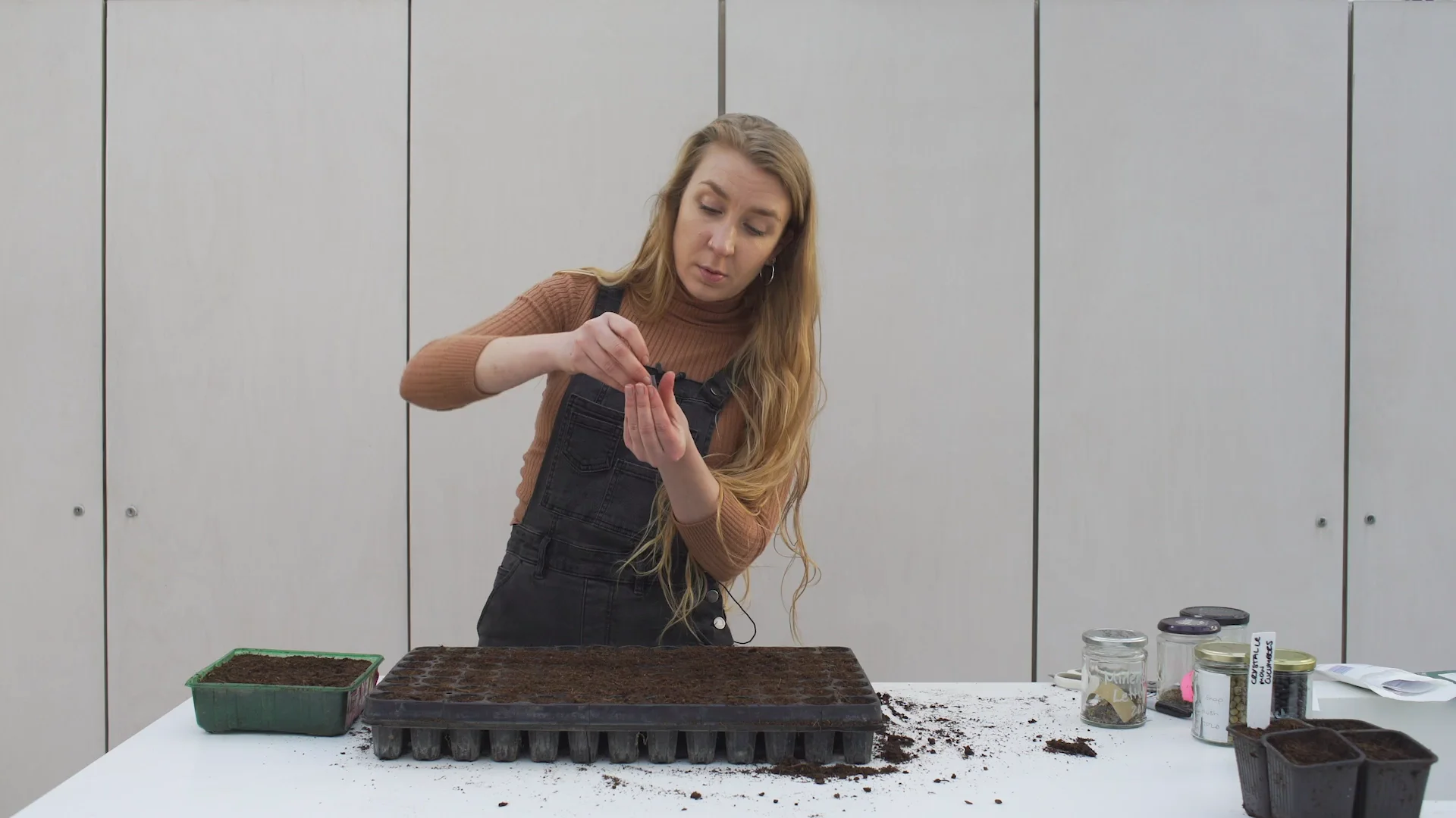 how to sow pepper seeds on Vimeo