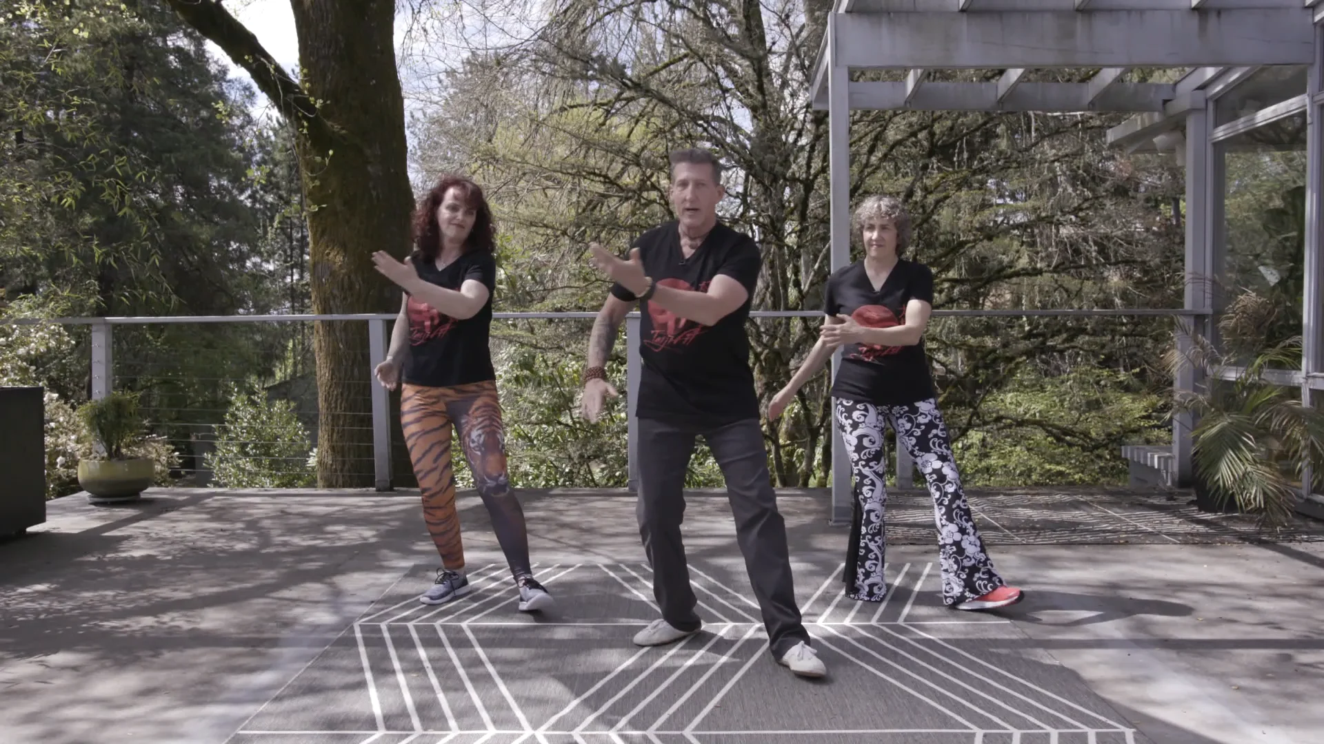 Watch Tai Chi Fit for Women with David-Dorian Ross Online | Vimeo On ...