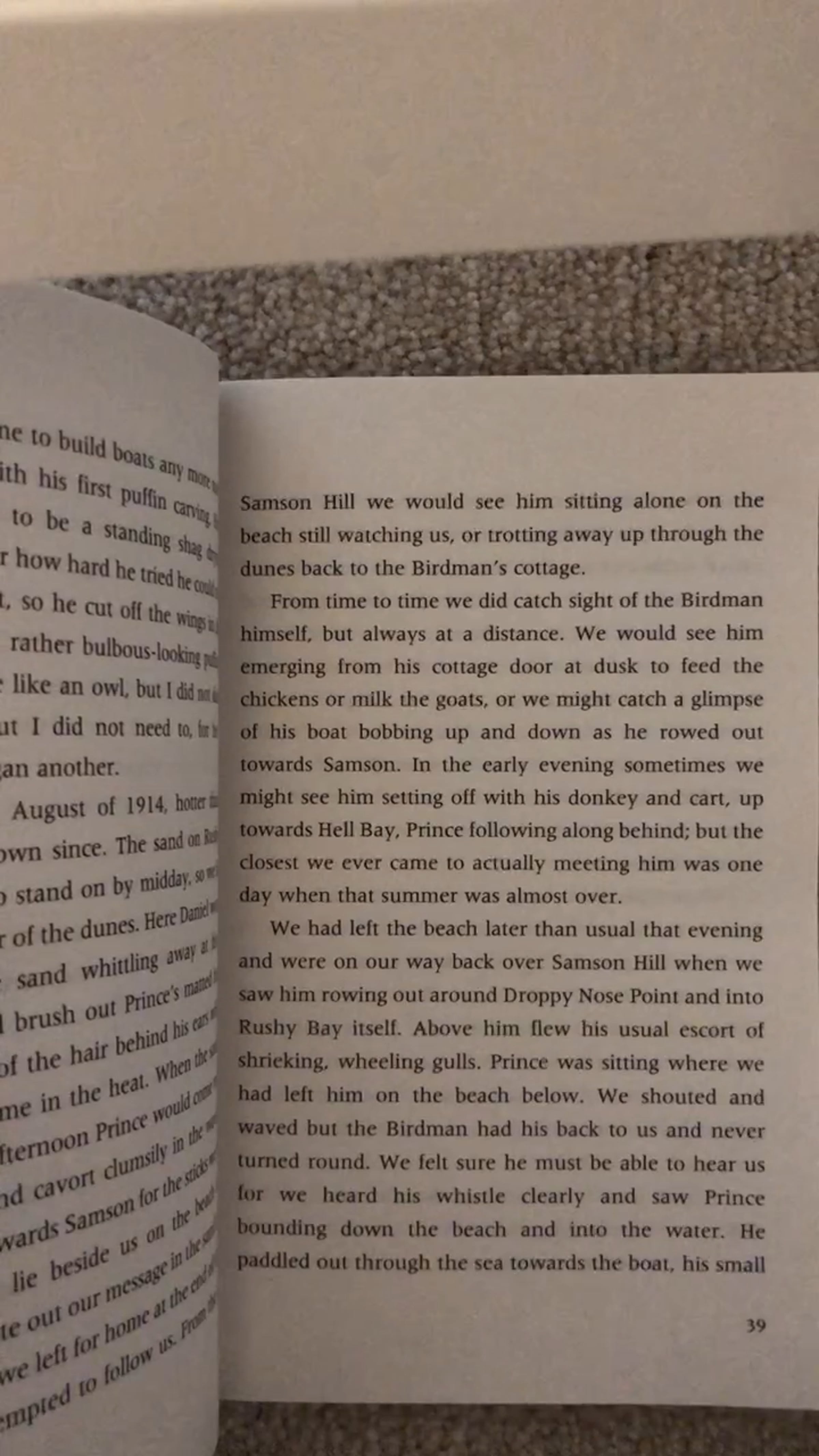 Why The Whales Came Chapter 1