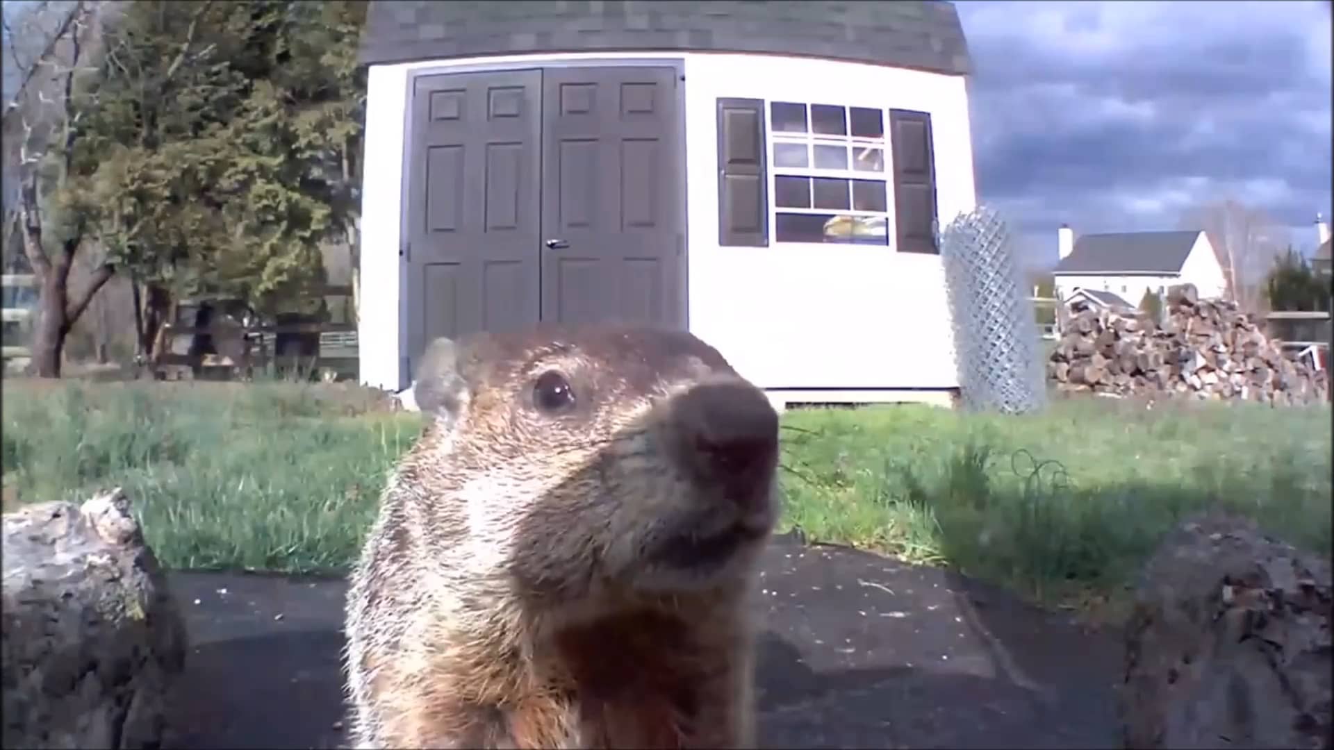 The Groundhogs - Groundhog (1971) on Vimeo